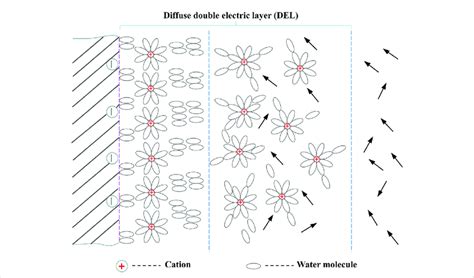 Schematic Diagram Of The Double Electric Layer Download Scientific