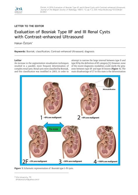 Bosniak 1 Pdf Evaluation Of Bosniak Type Iif And Iii Renal Cysts With