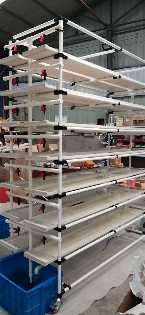 Hydroponic Livestock Grass Growing Fodder Machine Barley Green Forage Fodder Grow Trough