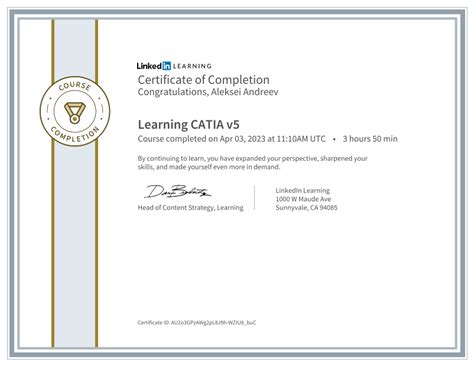 Certificate Of Completion Aleksei Andreev