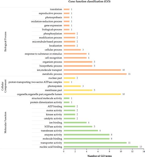 Gene Ontology Go Terms Enriched In Differentially Expressed Genes