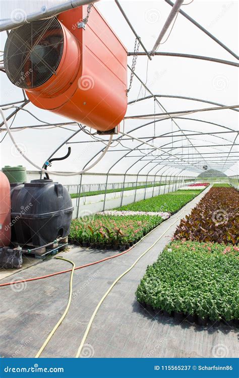 Greenhouse With Microclimate Control Royalty Free Stock Image