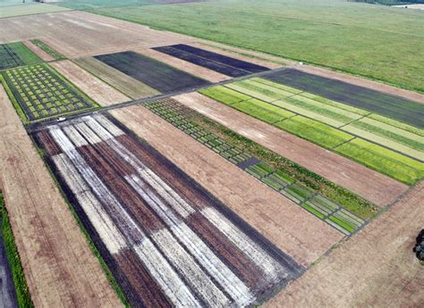 What Is Crop Rotation And Why We Need It