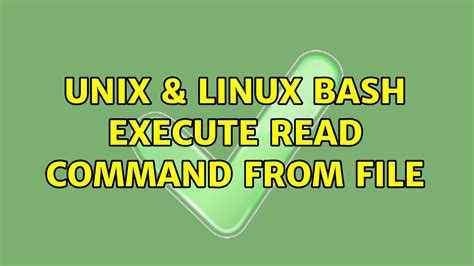 Unix And Linux Bash Execute Read Command From File 5 Solutions Youtube