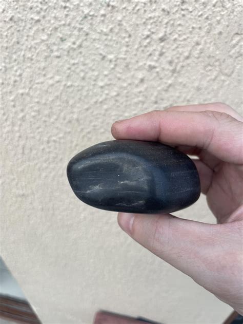 Fossil Inside Rfossilid