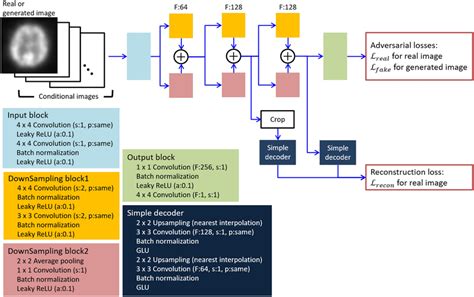 Discriminator In Our Model The Discriminator Uses As Input The Real Or Download Scientific