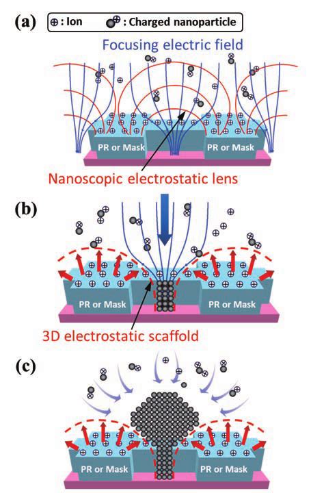 A Schematic Illustration Of The Process To Develop Nanoparticle