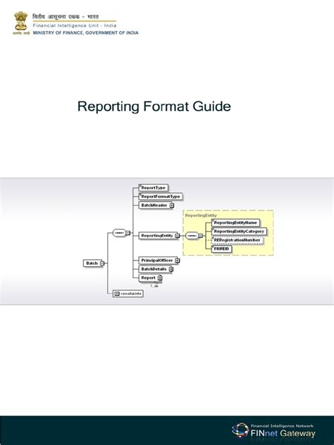 Reporting Format Guide Version 2 0 Pdf Xml Xml Schema