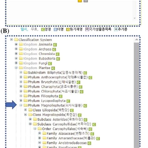 Tree Interface Of Taxon A Shows Interface To Search By Management