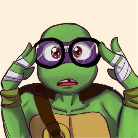 The Nerd Turtle Youtube