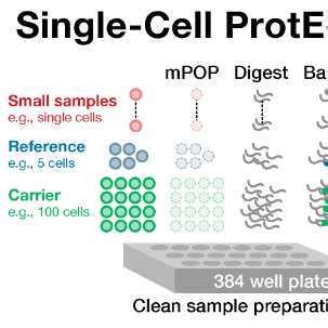 Slavov Laboratory Publications