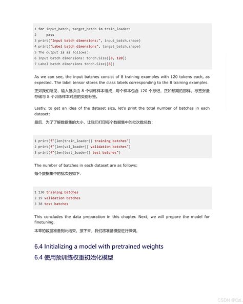 build a large language model from scratch 第六章 gpt 4o翻译版 csdn博客