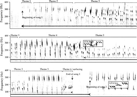 Spectrogram Of Humpback Song And Two Pings With Themes And Song Length Download Scientific