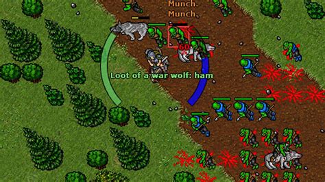 Tibia Software Techtudo