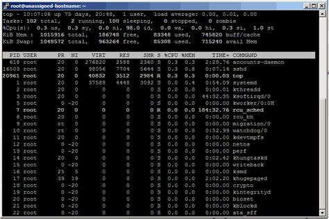 Linux Controlliamo Il Sistema System Information Commands