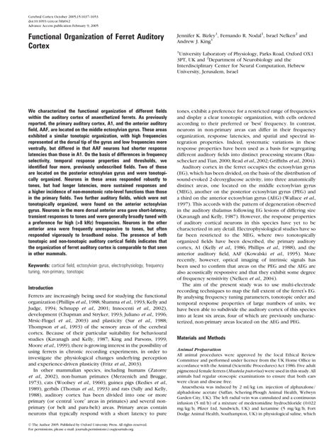 Pdf Functional Organization Of Ferret Auditory Cortex