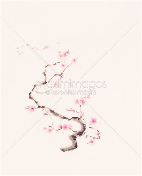 Sakura Branch Drawing At PaintingValley Com Explore Collection Of Sakura Branch Drawing