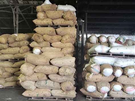 Cameroon Records Slight Increase In Annual Cocoa Production