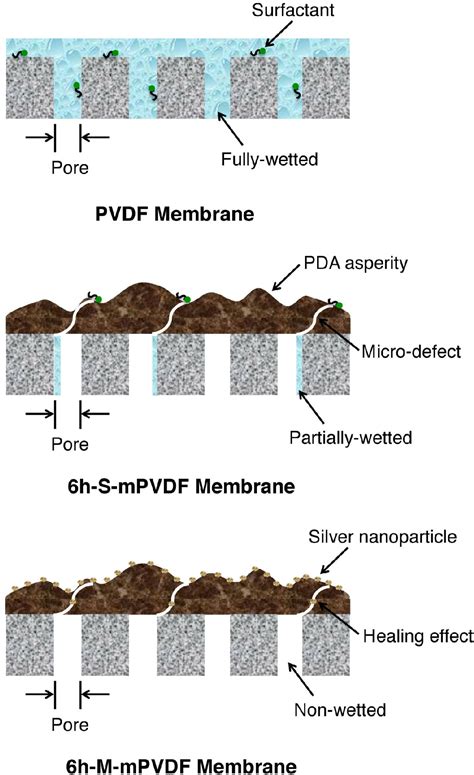 Figure 1 From Hierarchically Structured Janus Membrane Surfaces For Enhanced Membrane