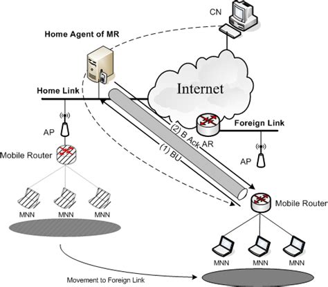 Nemo Basic Support Operation Download Scientific Diagram