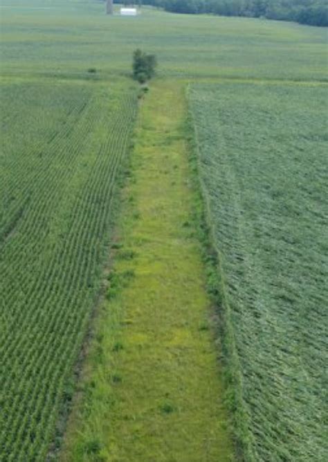 chidanand ullagaddi on linkedin breeding farming sustainablefarming