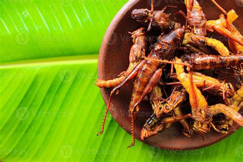 Fried Grasshopper Or Belalang Goreng Is Traditional Food From Southeast