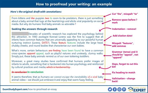 What Does Proofreading Mean At Jeremiah Jobe Blog