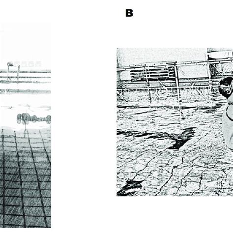 Schematic Representation Of Experimental Procedures Instrumented
