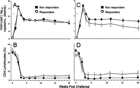 Outcome Of Env And Gag Ctl Responses On Outcome Of Shiv Challenge