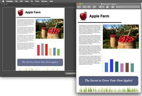 pdf arrives at xojo xojo programming blog