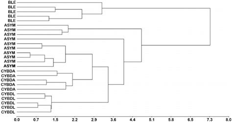 Cophenetic Correlation Coefficient 087 Download Scientific Diagram