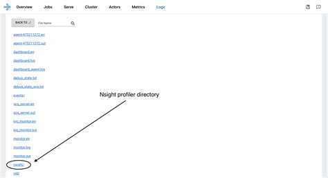 Profiling — Ray 2490