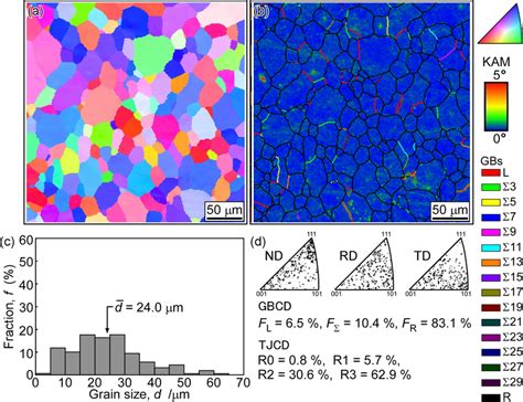 Initial Microstructure Of The Bm Specimen Produced By Annealing Of The