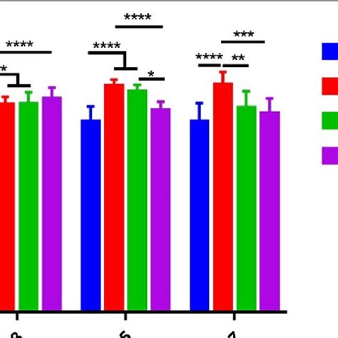 Pdf Characterization Of Recombinant Humanized Collagen Type Iii And Its Influence On Cell