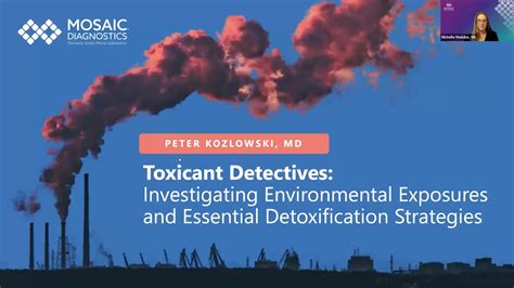 Toxicant Detectives Investigating Environmental Exposures And Essential Detoxification Strategies Toxicant Detectives Investigating Environmental Exposures And Essential Detoxification Strategies