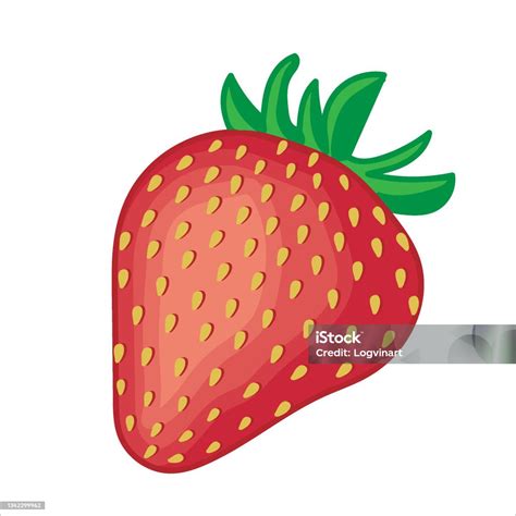 손으로 그린 잘 익은 딸기 잡지 책 포스터 메뉴 표지에 사용되는 신선한 농장 유기농 베리의 벡터 일러스트 건강한 생활방식에 대한 스톡 벡터 아트 및 기타 이미지 Istock