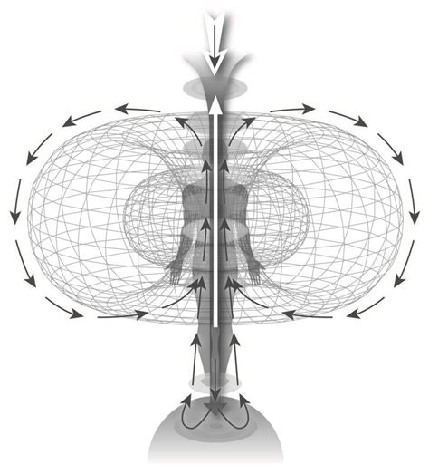 Why Is Everyone Talking About Torus Fields Sacred Geometry Patterns Sacred Geometric Energy