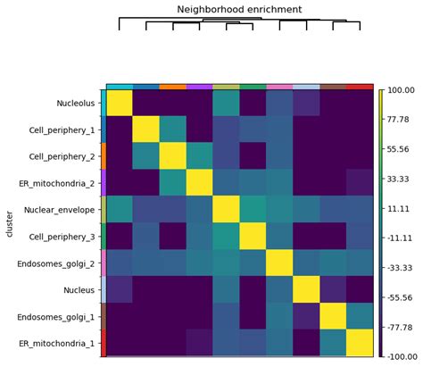 7 Working With Squidpy — Spatialcells 101 Documentation