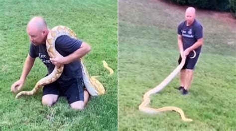 Python Snake Man Playing Game With Dangerous Snake Small Mistake And Game Must Have Over Viral