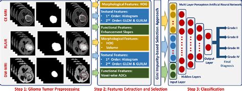 Figure 1 From A Novel System For Precise Grading Of Glioma Semantic