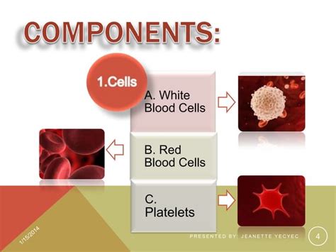 Blood Definition Functions And Its Components PPTX