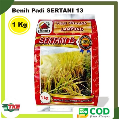 Jual Benih Bibit Tanaman Padi Unggul Sertani Benih Pertanian Kab Blitar Toko Kencana