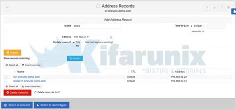 configure bind dns server using webmin on debian 11
