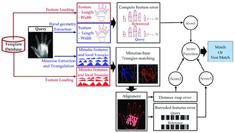 Vein Pattern Human Recognition Verification Process Download Scientific Diagram