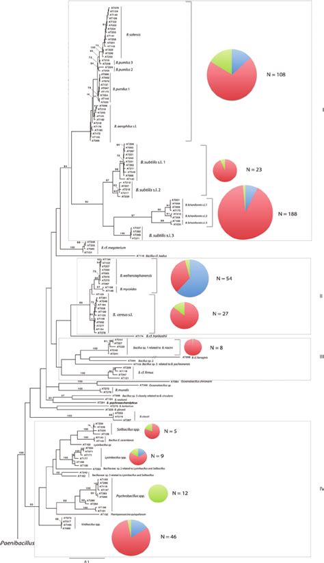 Midpoint Rooted Maximum Likelihood Ml Phylogenetic Tree Of Partial