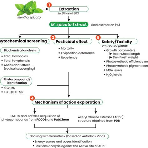 Schematic Representation Of The Work Plan Extraction Step Download Scientific Diagram
