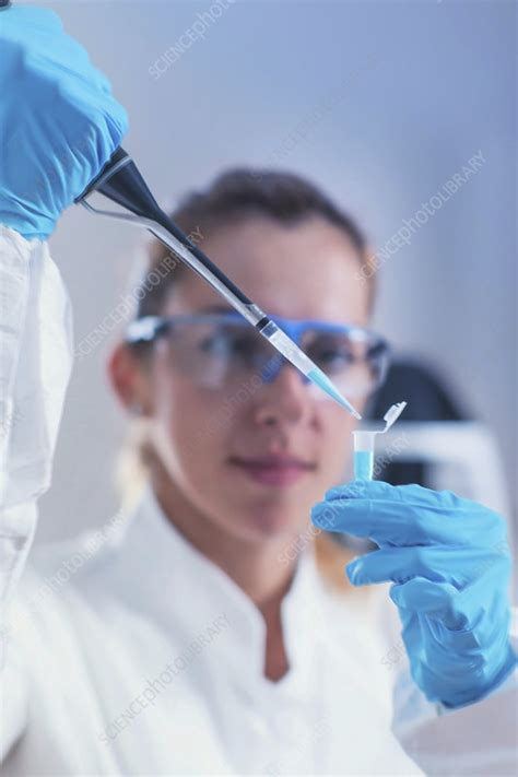 Scientist Using Micropipette Stock Image F024 5689 Science Photo Library