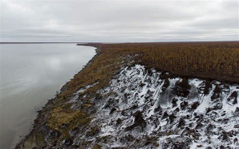 A Father And Son S Ice Age Plot To Slow Siberian Thaw The Globe And Mail