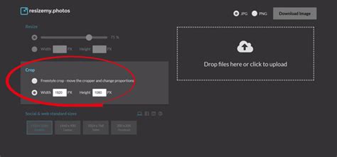 The Easiest Way To Crop And Resize Images Online
