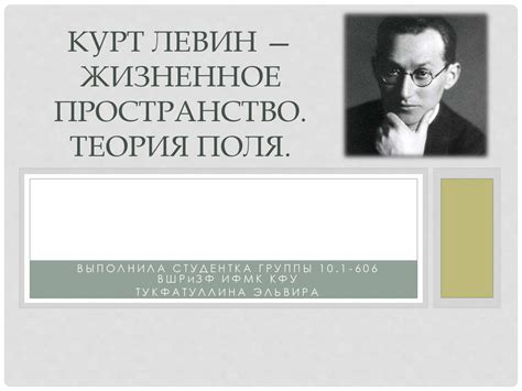 Теория поль